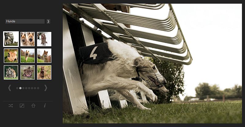 GitHub - SammysHP/SimpleImageBrowser: Simple image browser / gallery ...